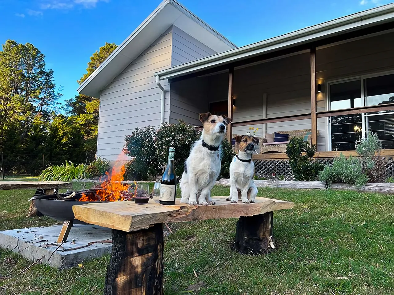 Looking for Pet-Friendly Accommodation in Southern Highlands? - The ...