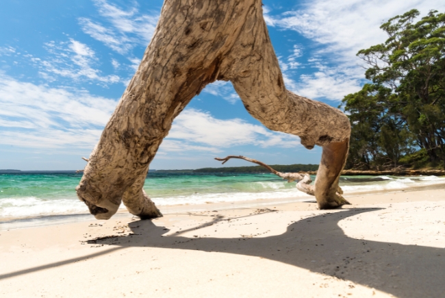 Hyams Beach - Jervis Bay