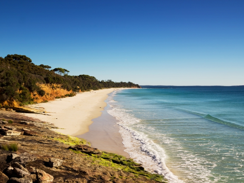 Nelson Beach - Vincentia