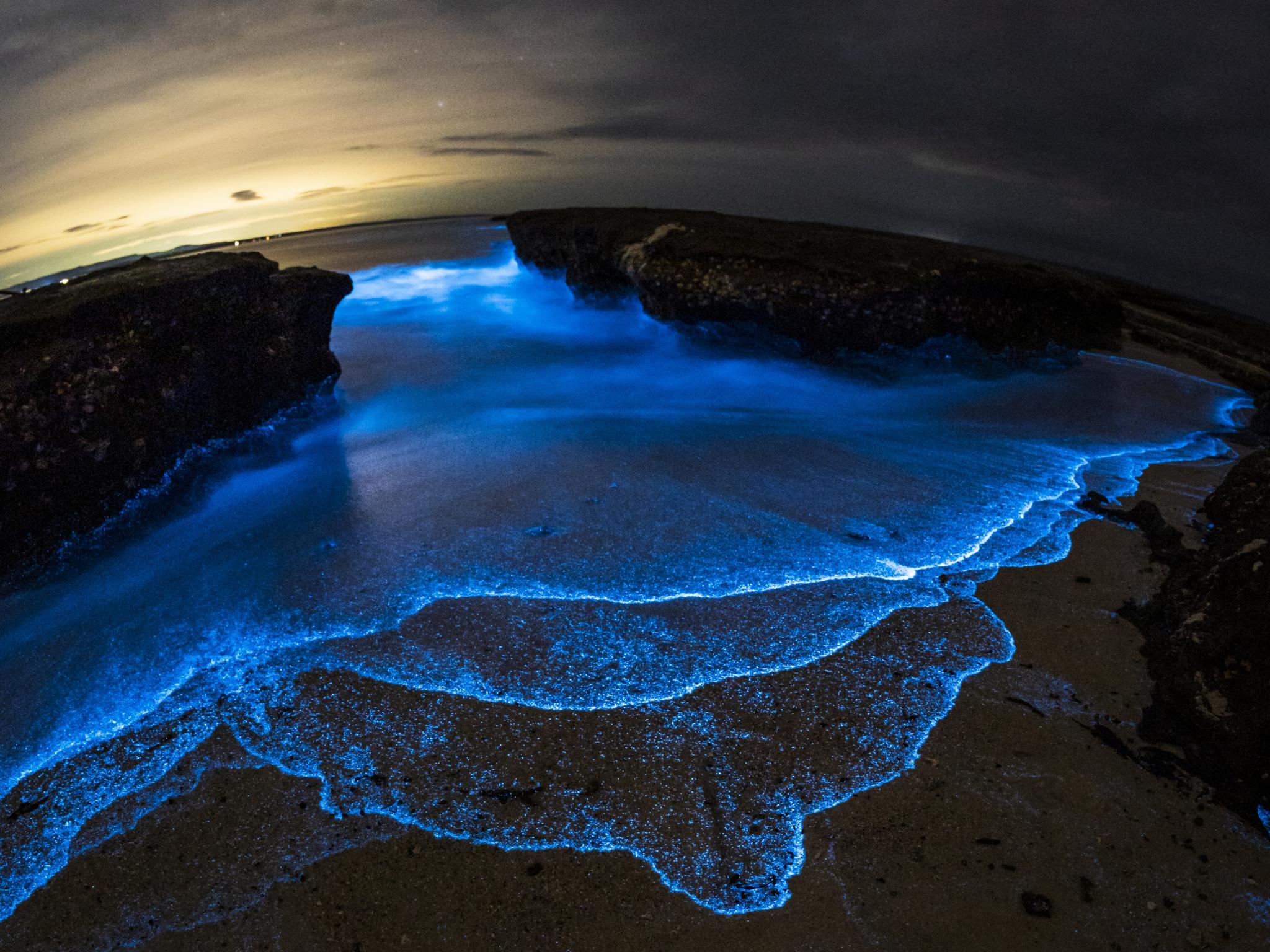 Barfleur Beach - Vincentia