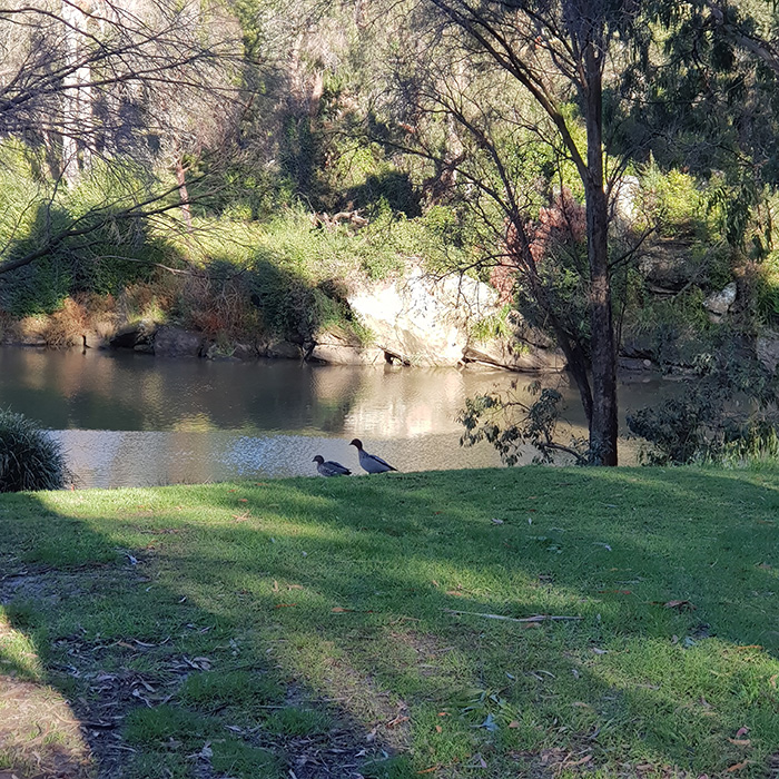 Berrima River Reserve - sutton forest